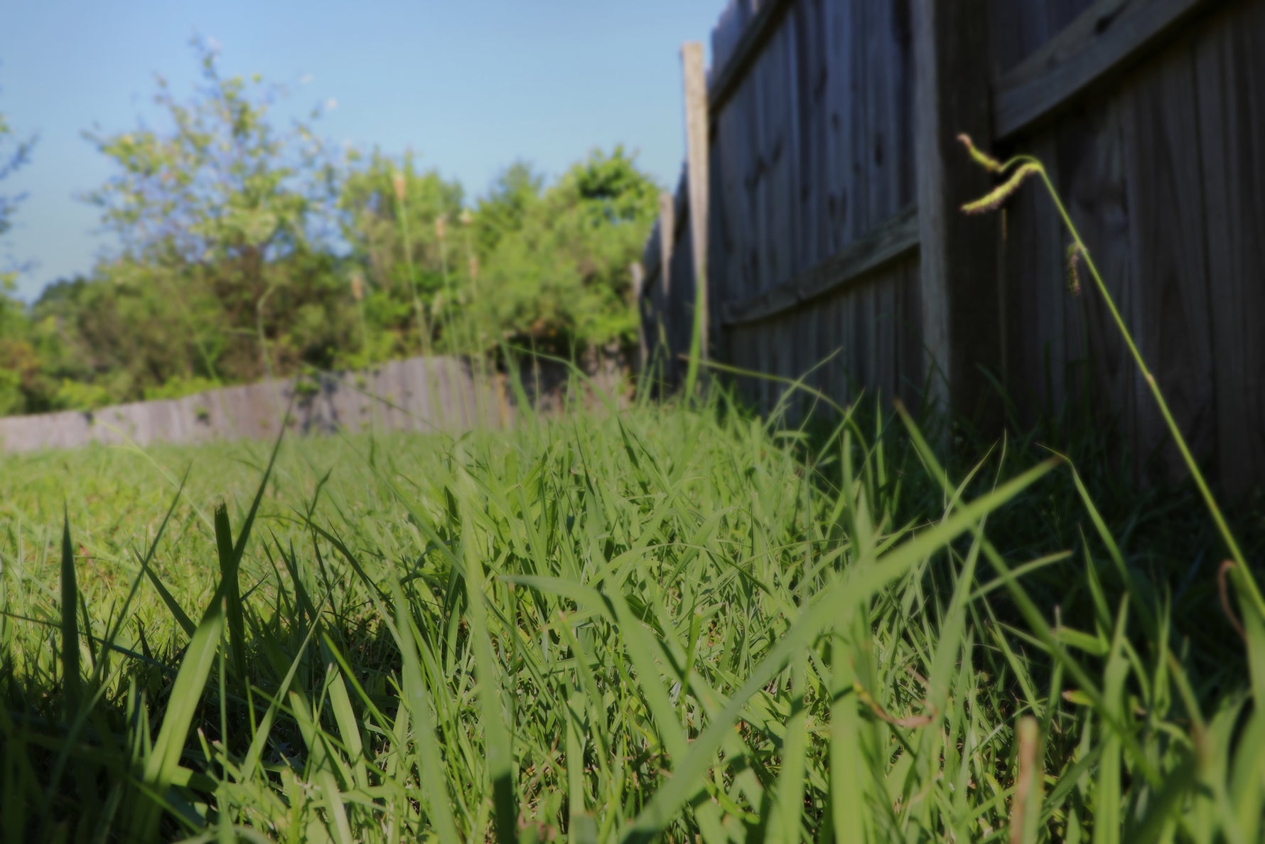 Rugged 62V Outdoor Battery Tools – Green Machine USA